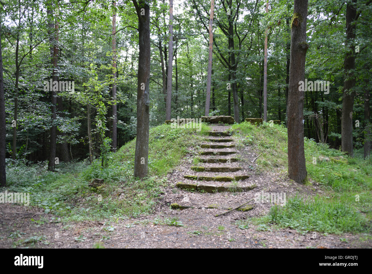 Vehmic hi-res stock photography and images - Alamy