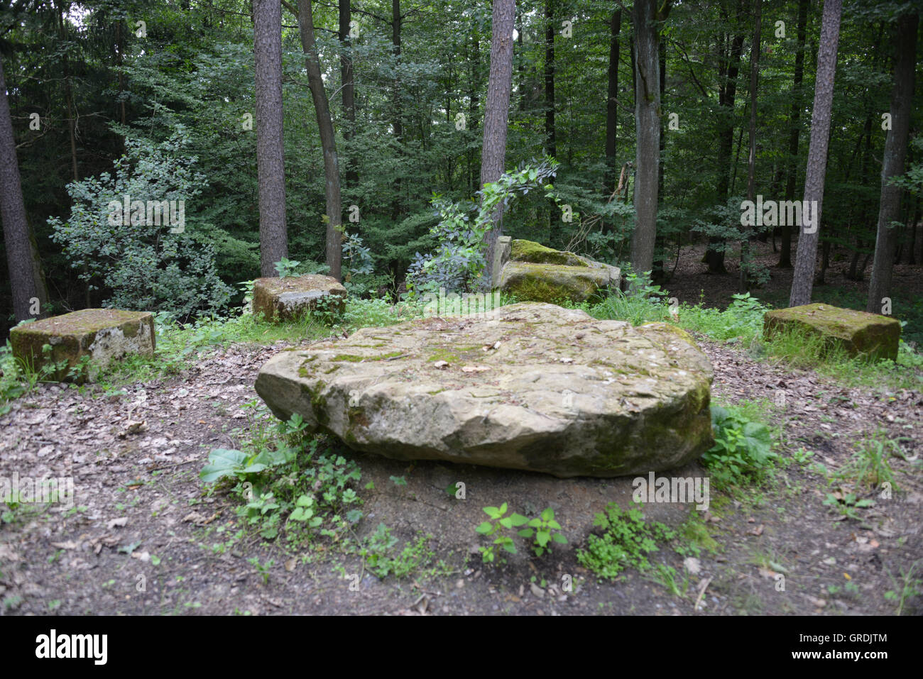 Vehm court in the forest near hi-res stock photography and images - Alamy