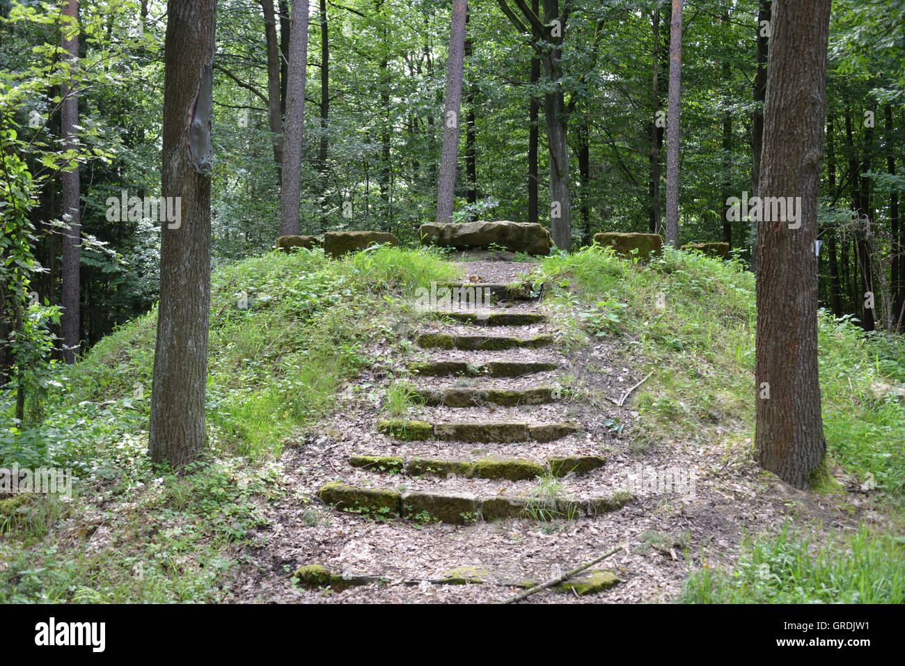 Vehmic hi-res stock photography and images - Alamy