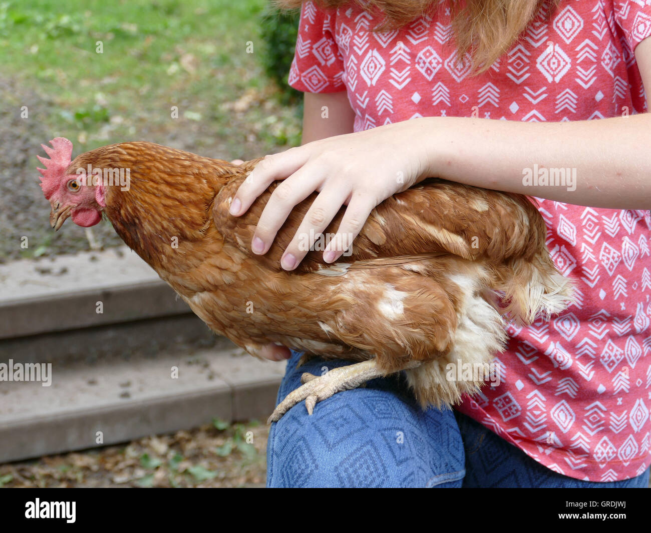 Hen girl hi-res stock photography and images - Alamy