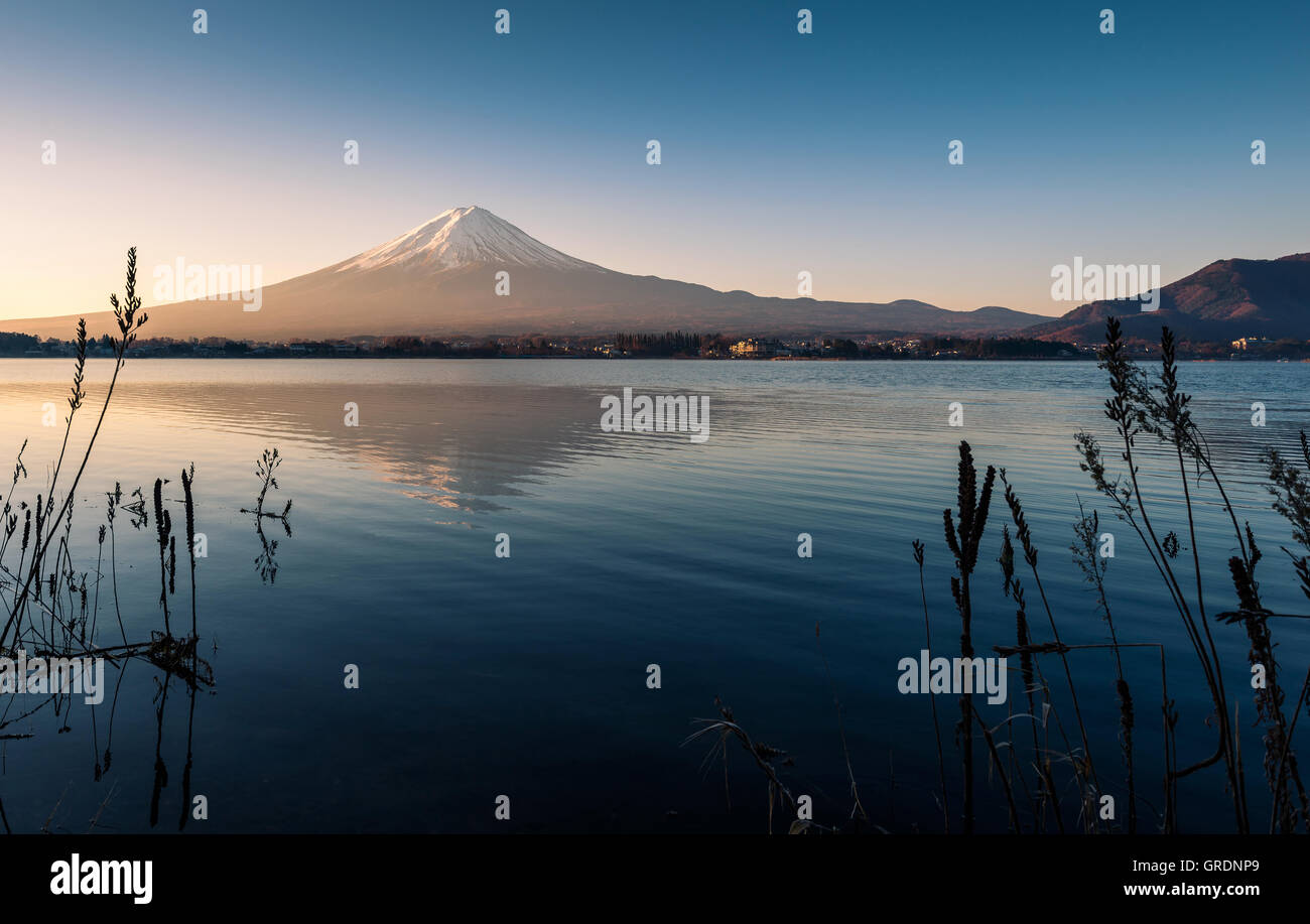 Mount Fuji view from the lake Stock Photo - Alamy