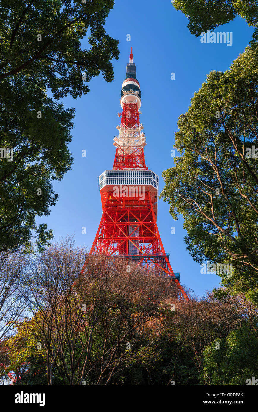 Tokyo Tower and Shiba Park in Tokyo, Japan Stock Photo - Alamy
