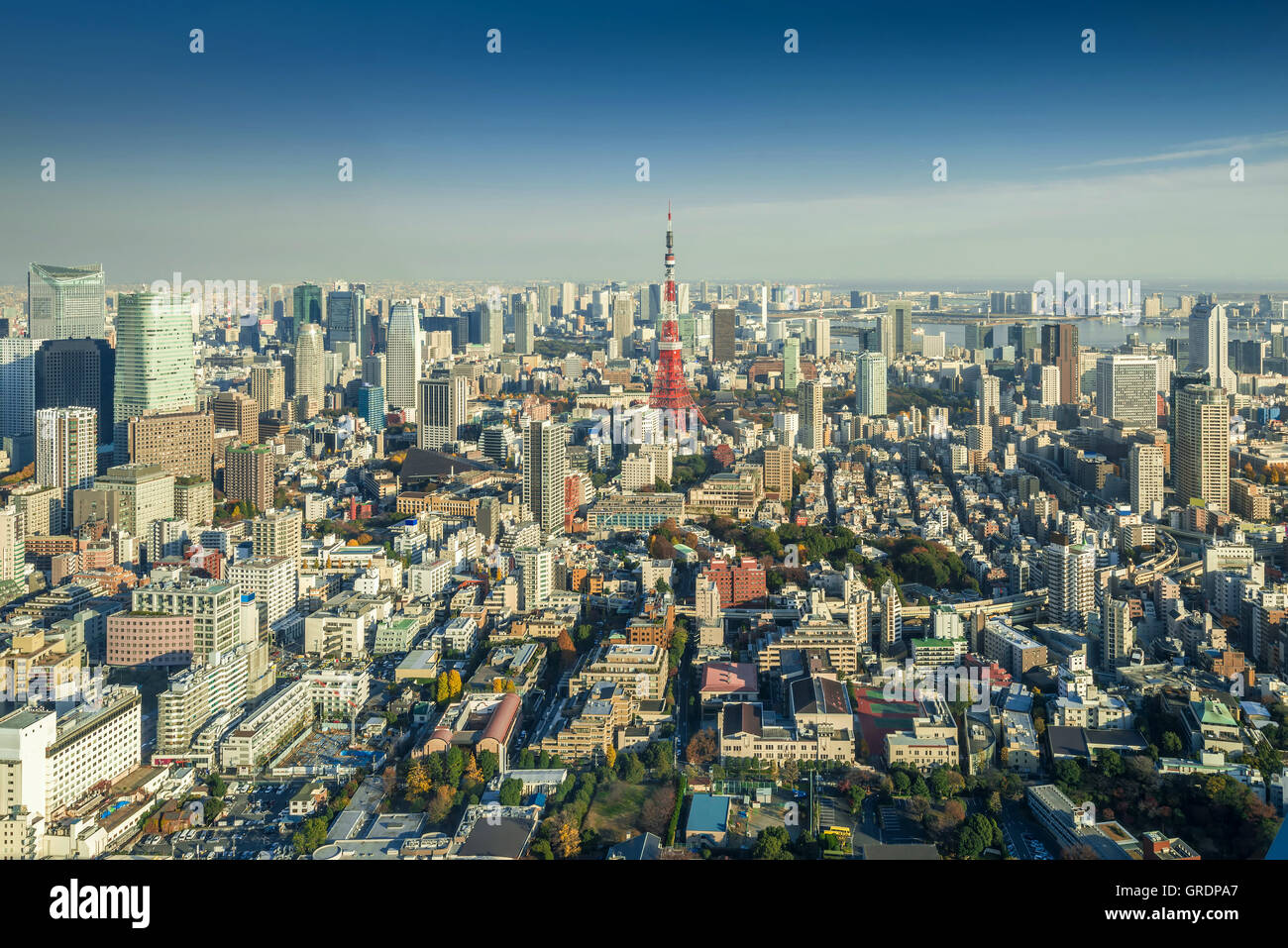Skyline of Tokyo Cityscape with Tokyo Tower, Japan Stock Photo - Alamy