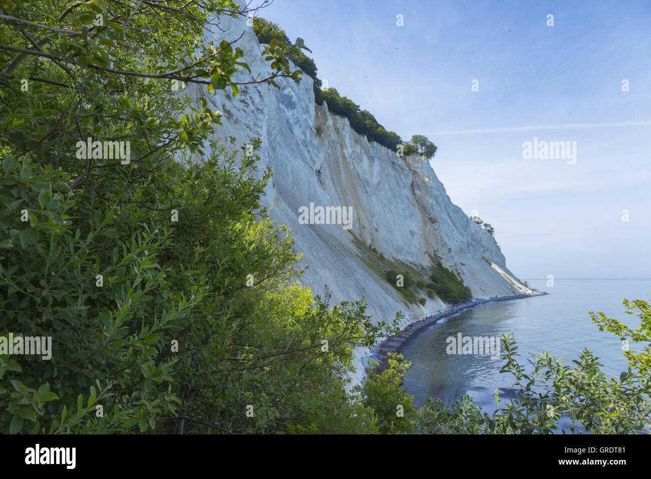 Steep Limestone Cliffs And Shoreline Of Mons Klint Denmark Stock Photo ...