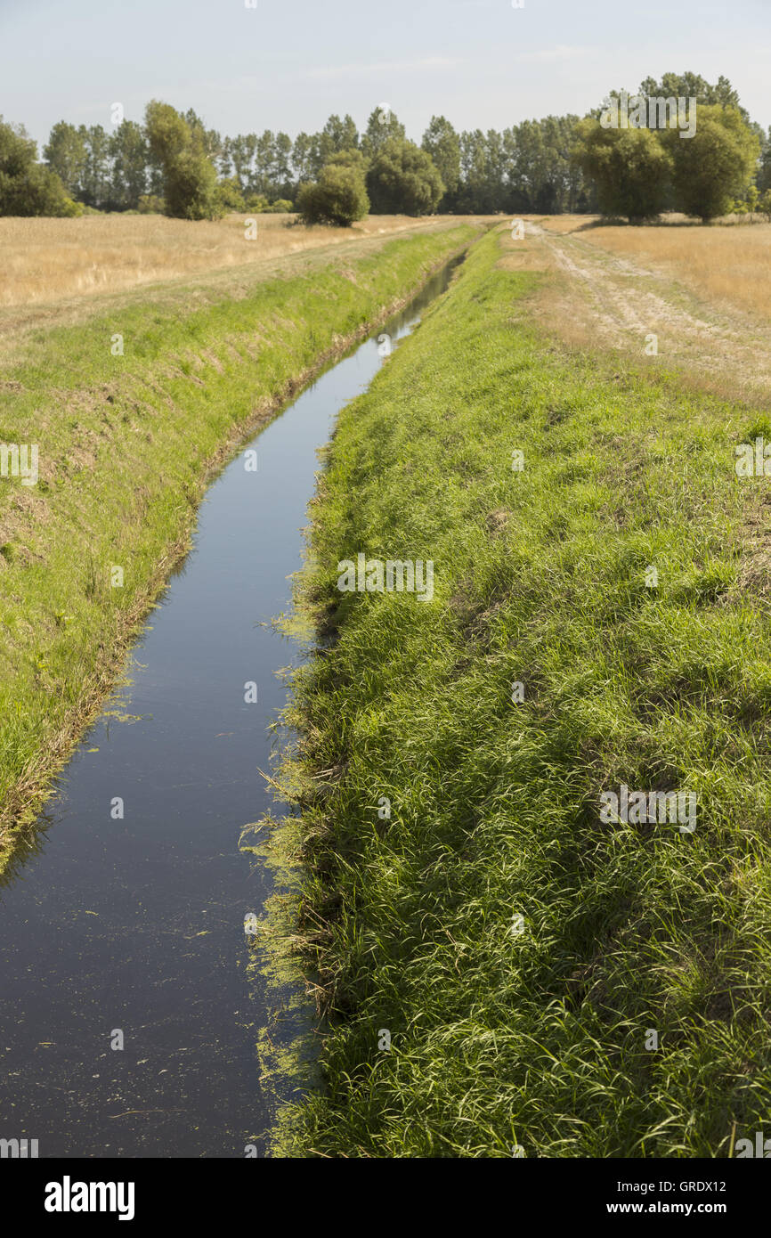 Drainage Ditch Between Harvested Fields In Vaeggerlose Stock Photo - Alamy