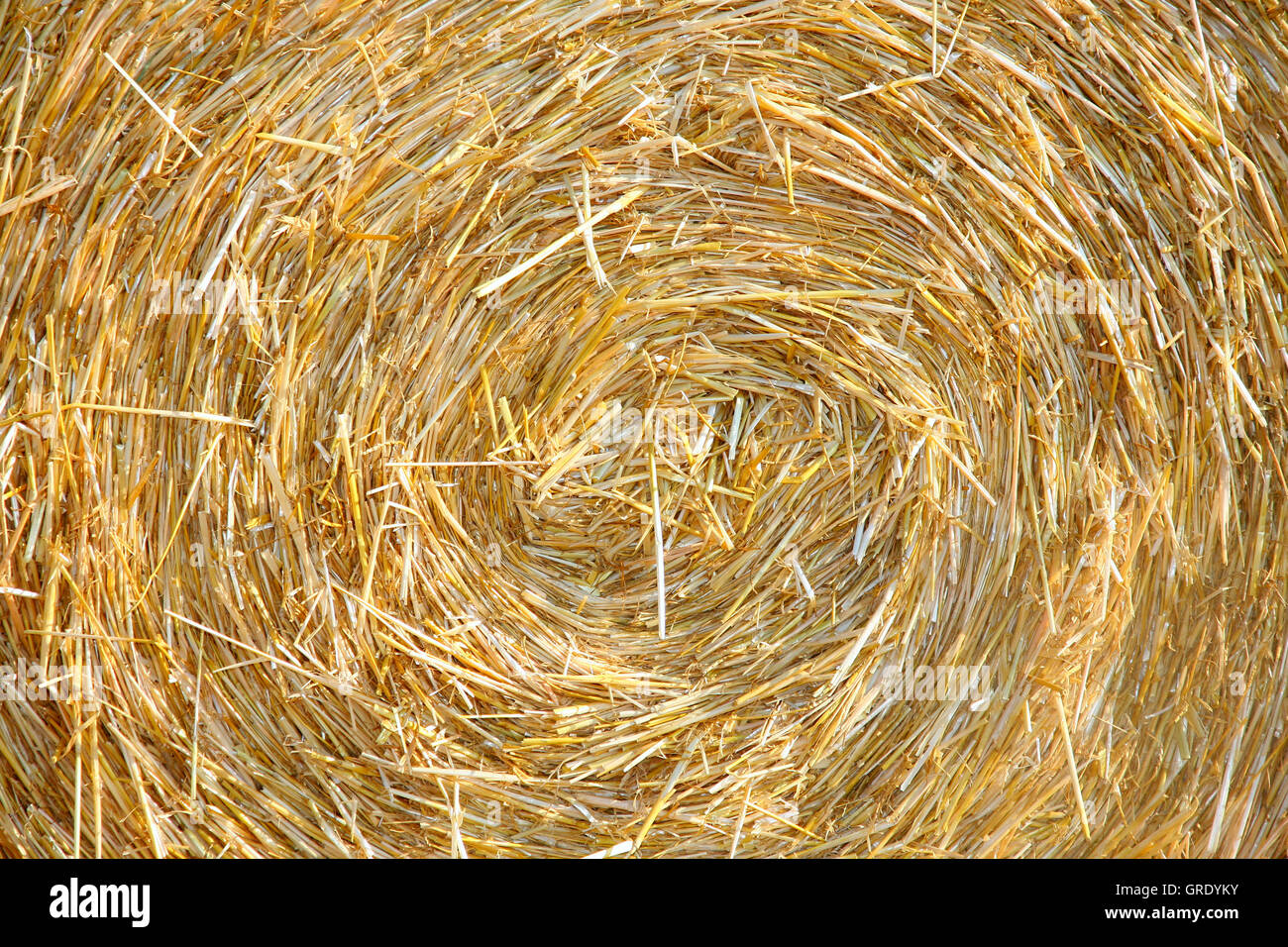 Detials close up shot of Wheat Haystack in farmer field Stock Photo - Alamy