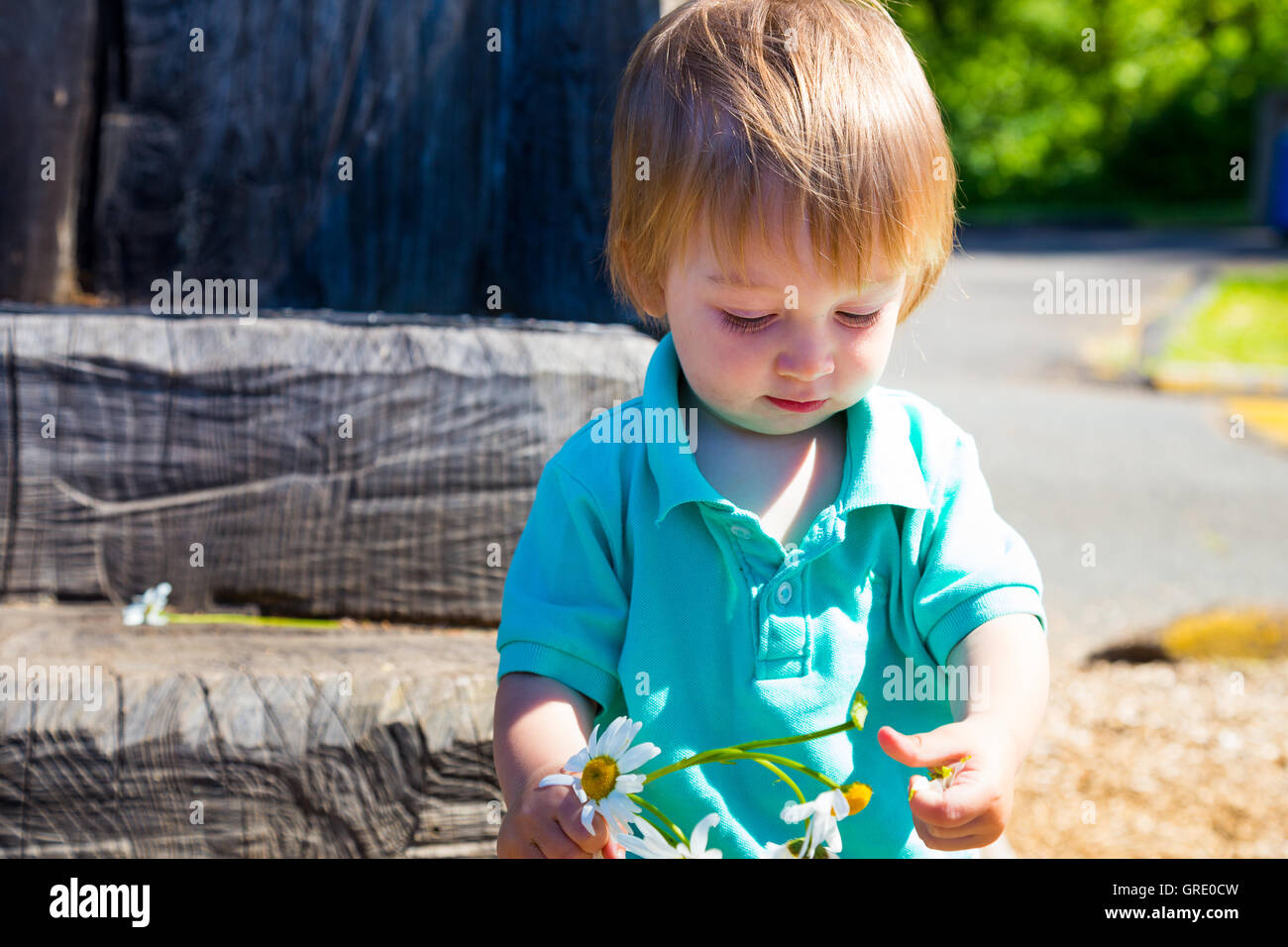 Boy Playing with Flowers Stock Photo - Alamy