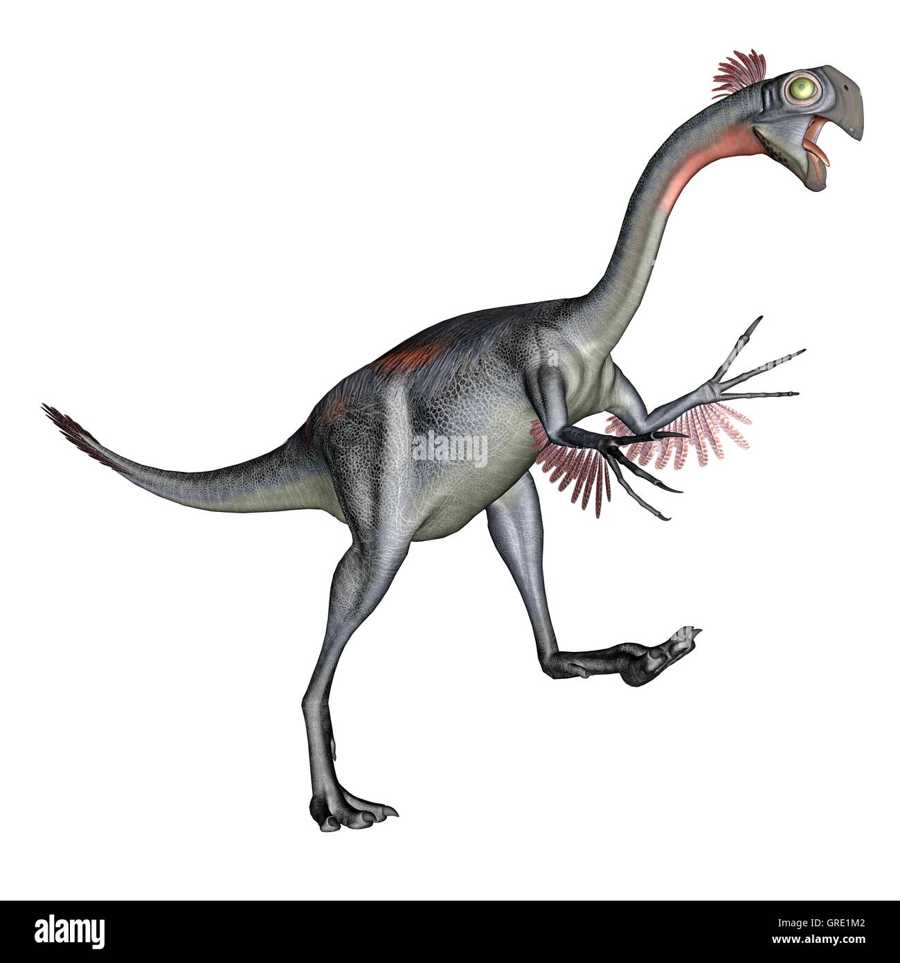 Oviraptorosaurs hi-res stock photography and images - Alamy