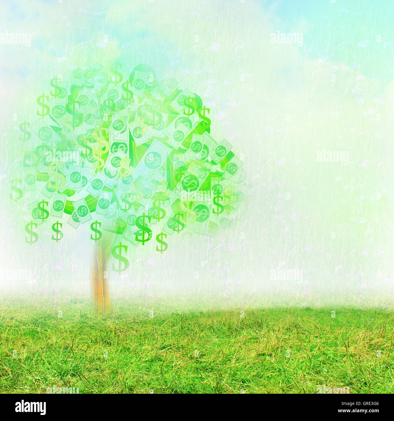 Australian icon tree hi-res stock photography and images - Alamy