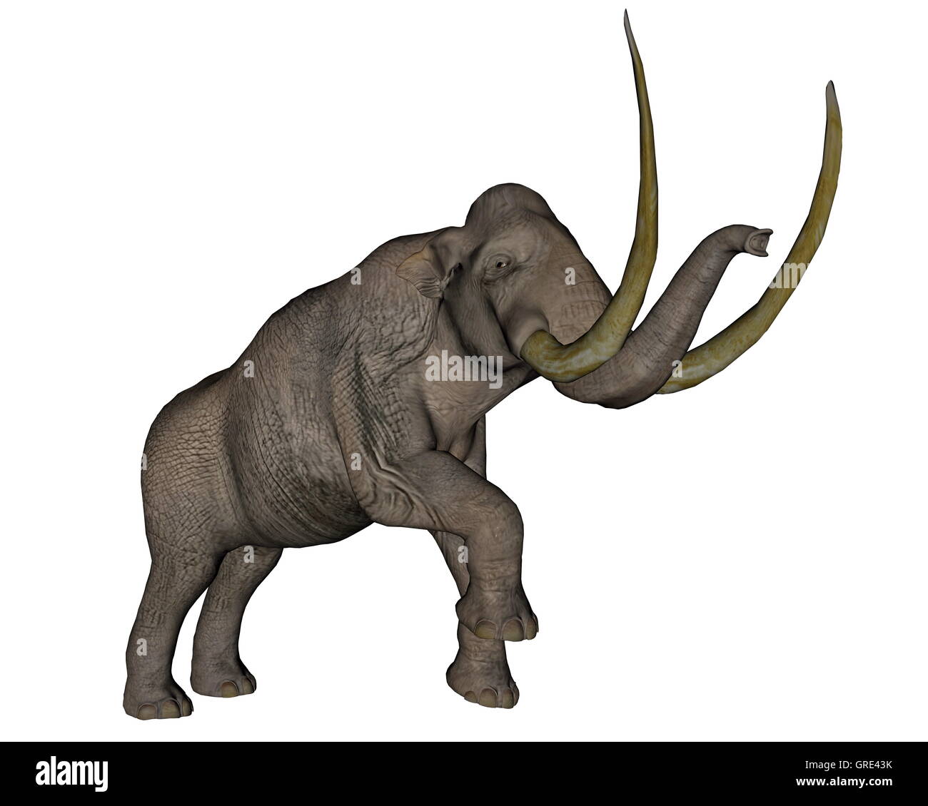 Ancient mammoth Cut Out Stock Images & Pictures - Alamy