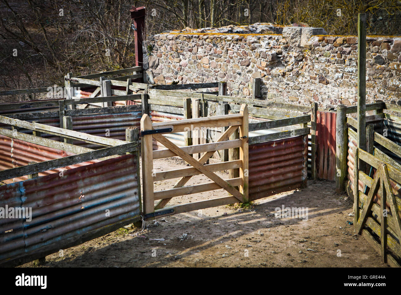 Shearing pens hi-res stock photography and images - Alamy