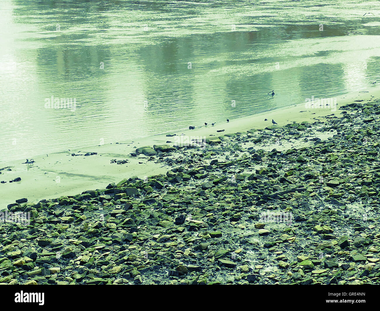 Low flow river hi-res stock photography and images - Alamy