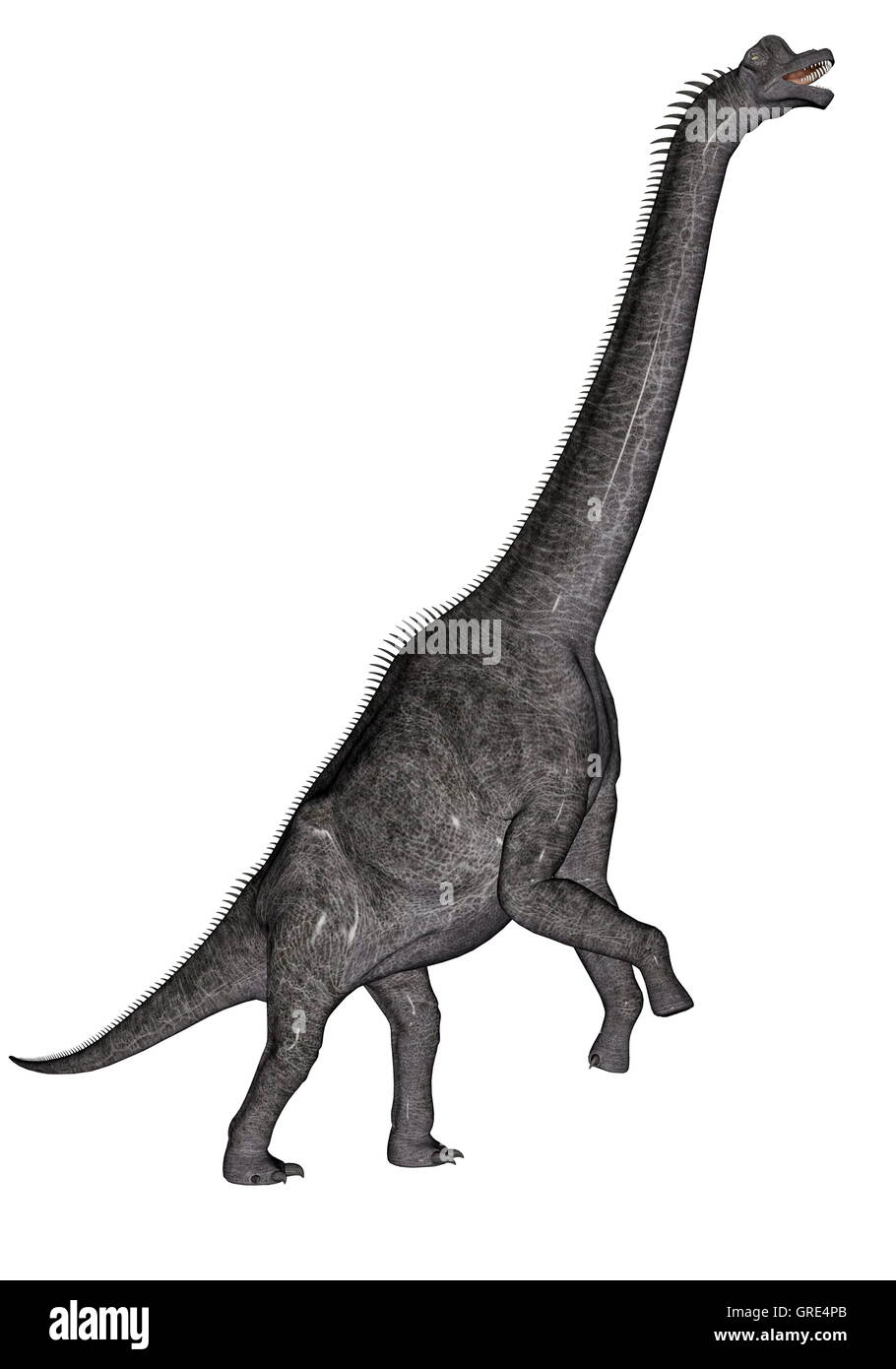 Jurassic period dinosaur Cut Out Stock Images & Pictures - Alamy