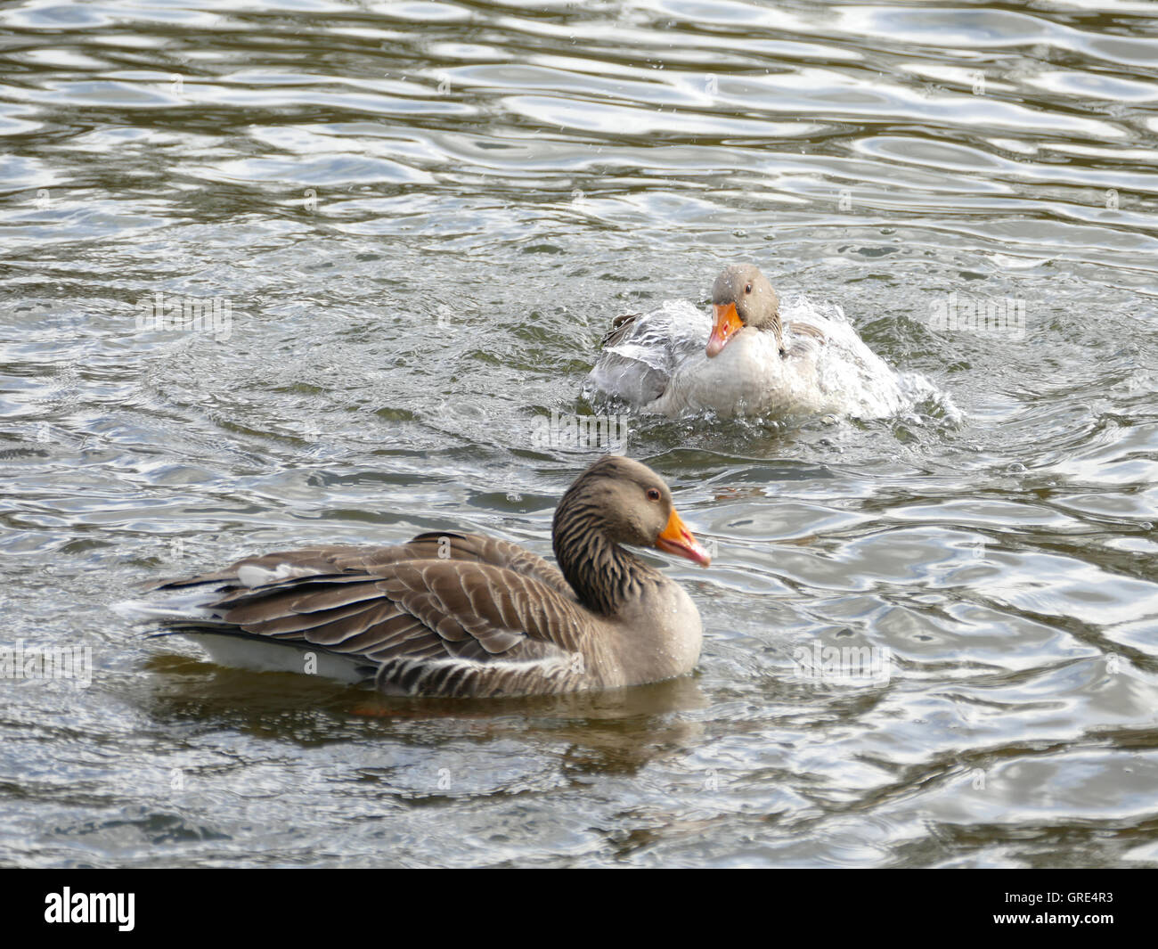 Couple taking bath hi-res stock photography and images - Alamy