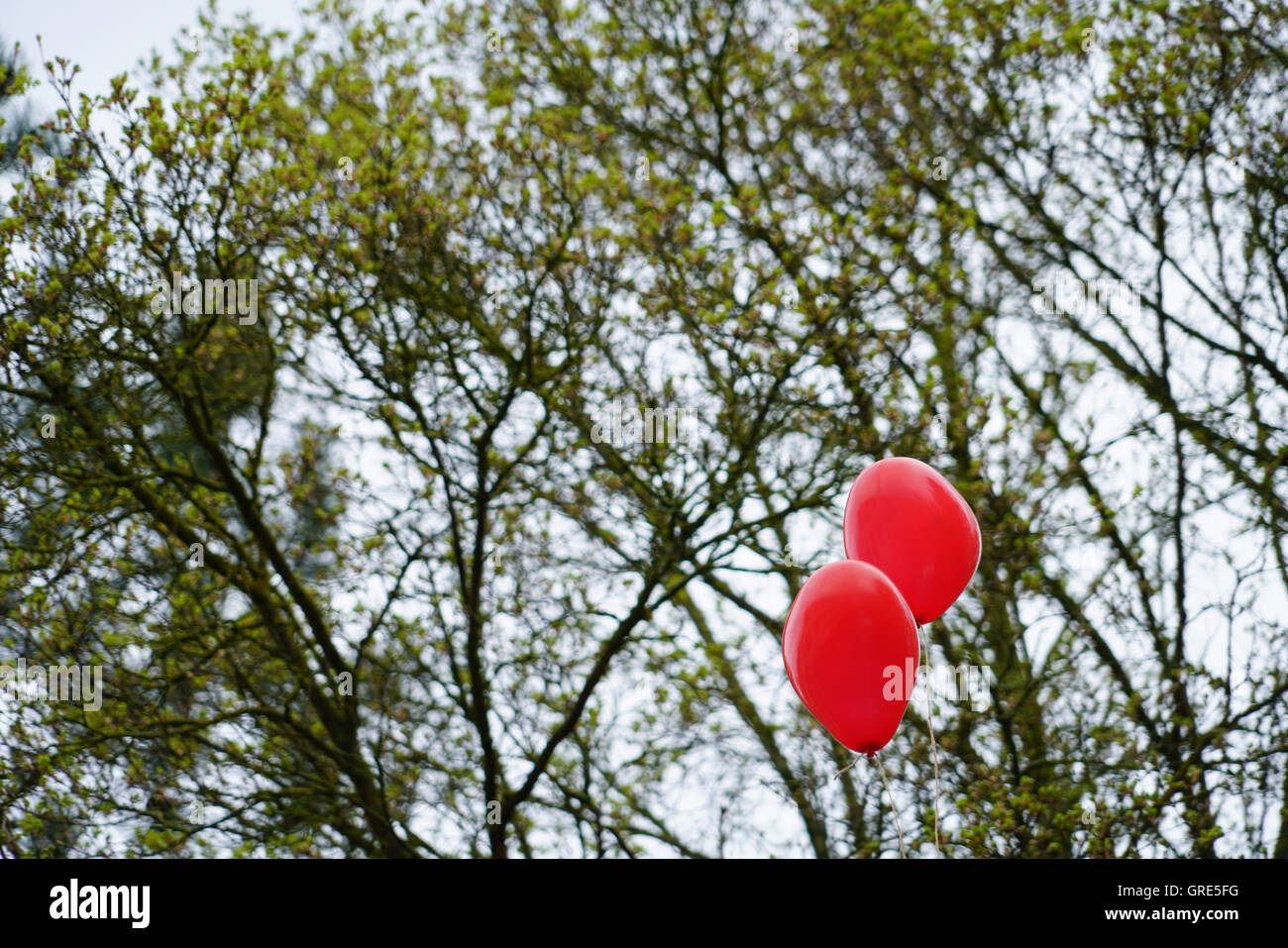 Flying symbols hi-res stock photography and images - Alamy