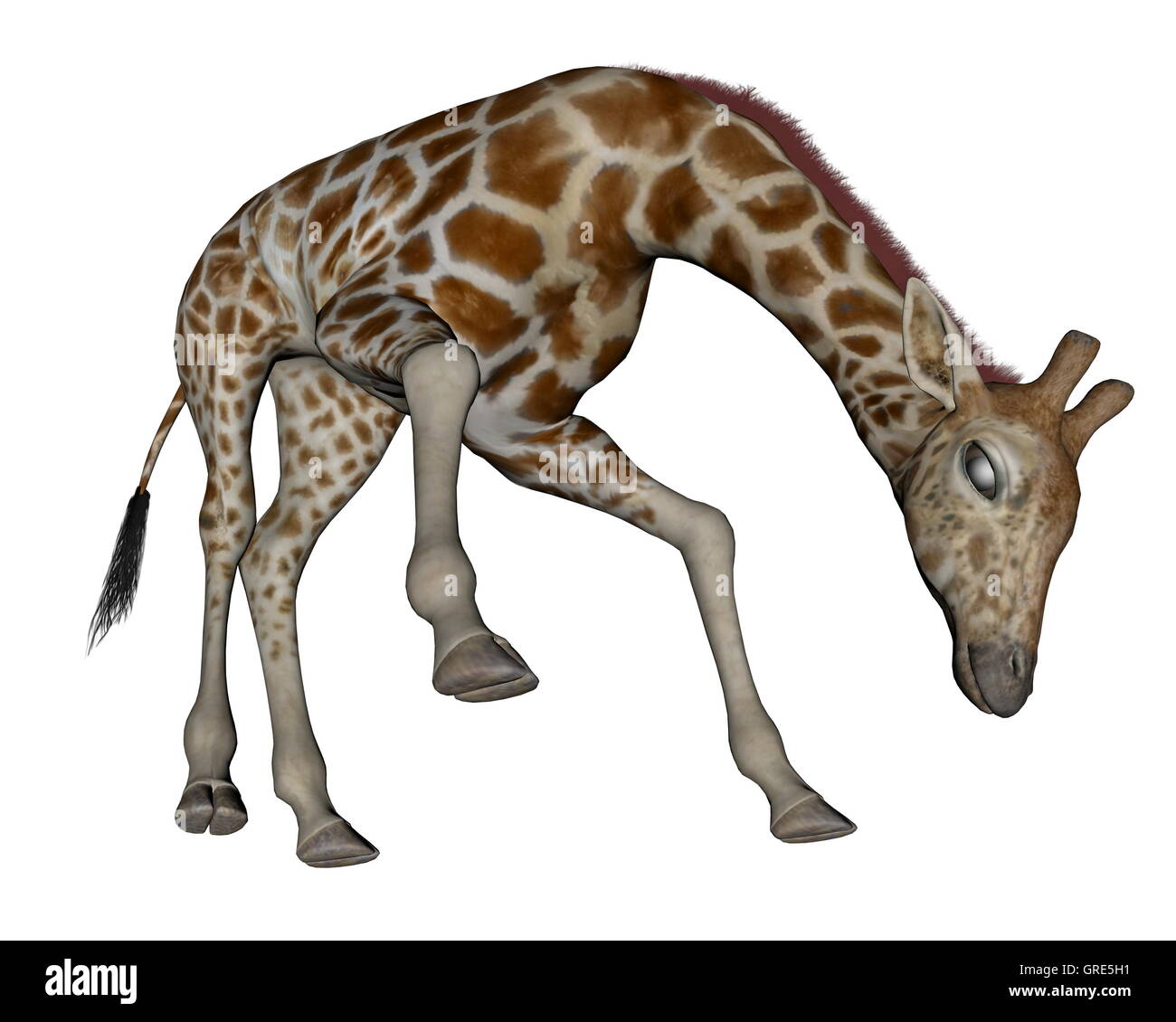 Neck and head 3d hi-res stock photography and images - Alamy