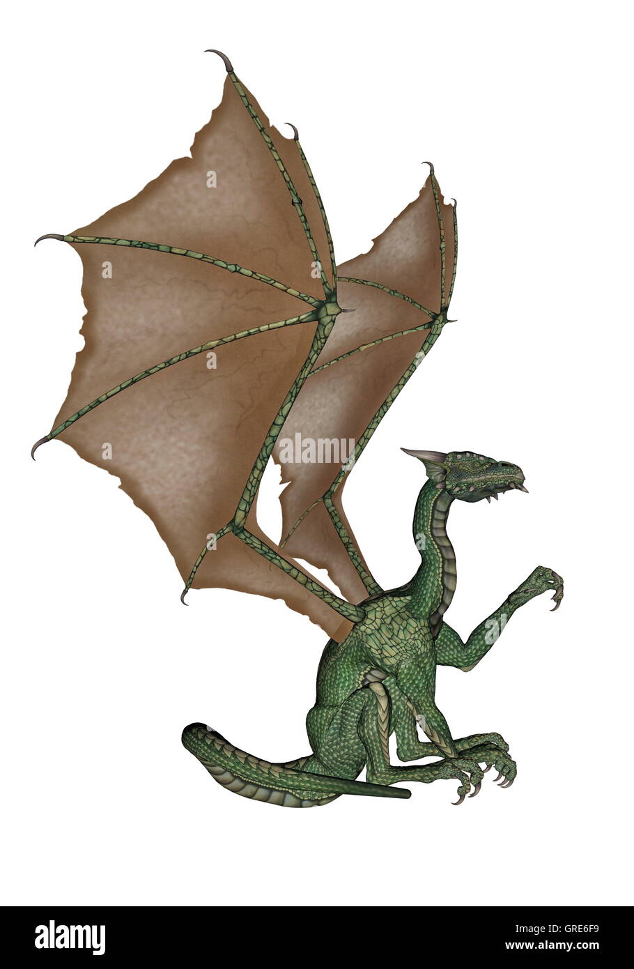 Real dragon hi-res stock photography and images - Alamy