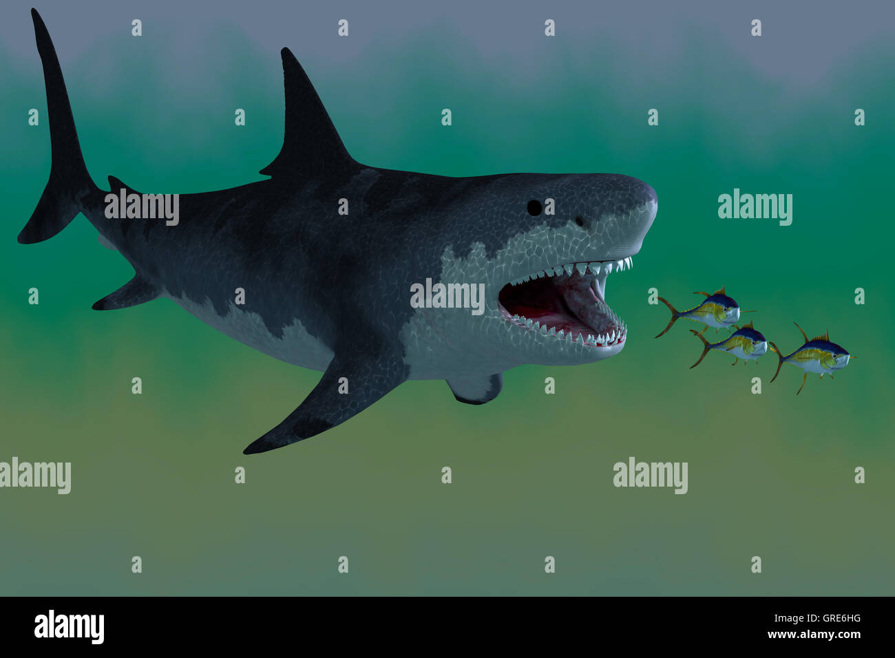 Megalodon Shark Attack Stock Photo - Alamy