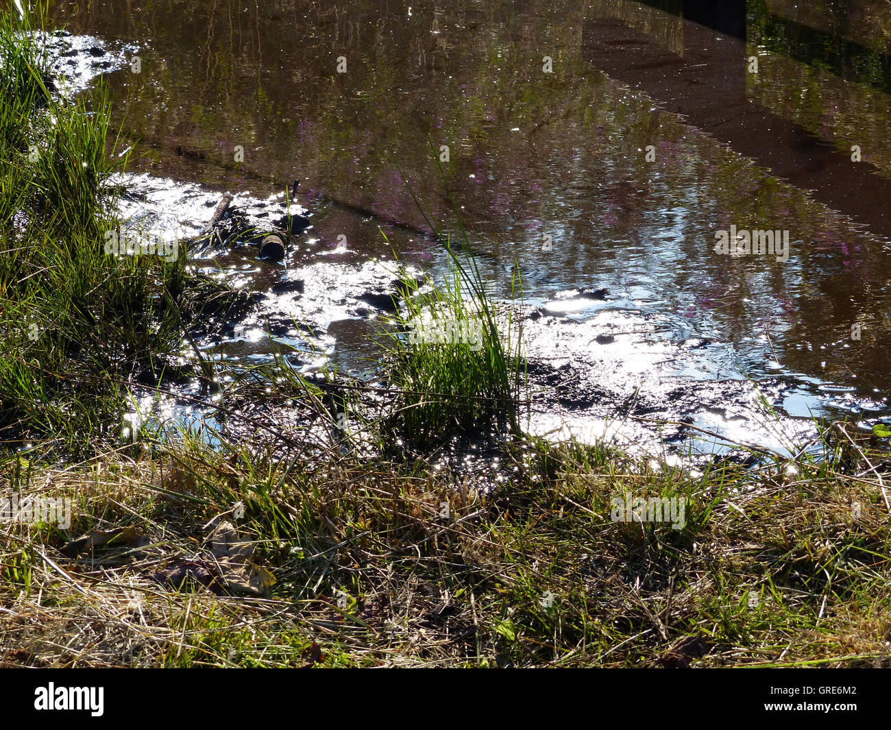 Morass in black moor hi-res stock photography and images - Alamy