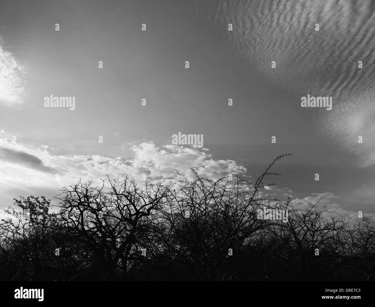 African sky hi-res stock photography and images - Alamy