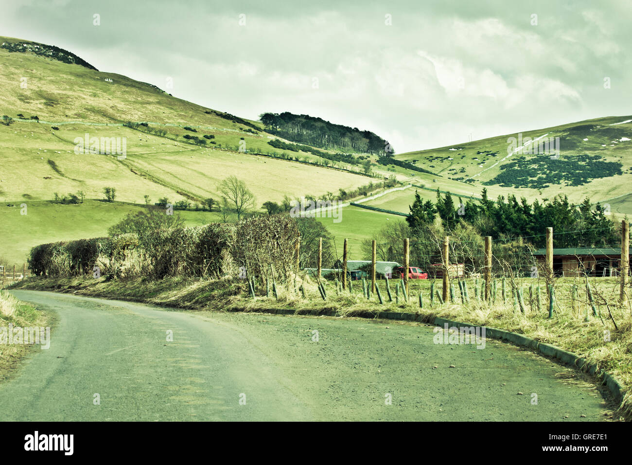 Hill ground scottish borders hi-res stock photography and images - Alamy