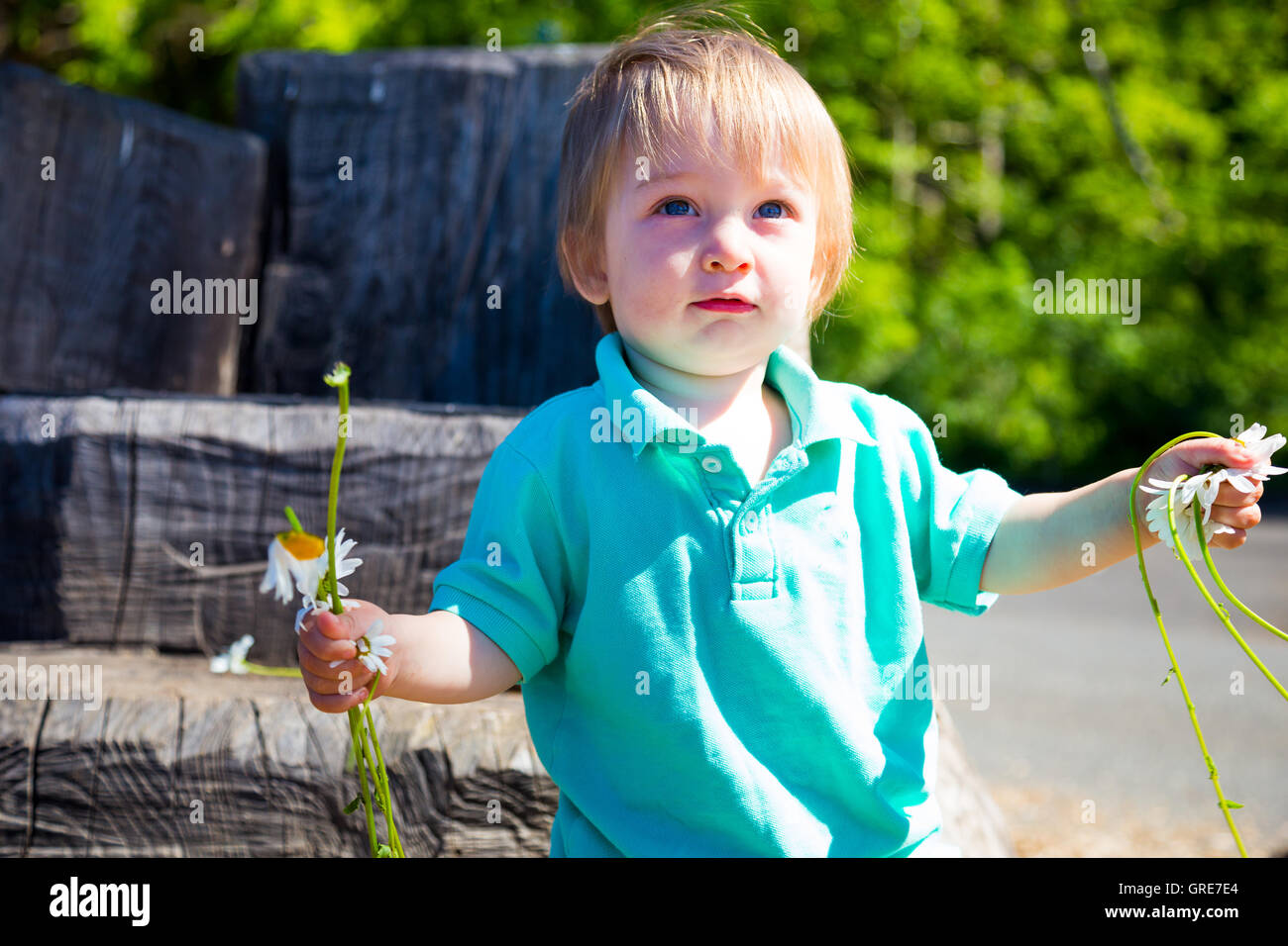Boy Playing with Flowers Stock Photo - Alamy