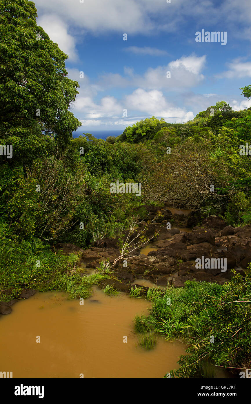 Pond flow hi-res stock photography and images - Alamy