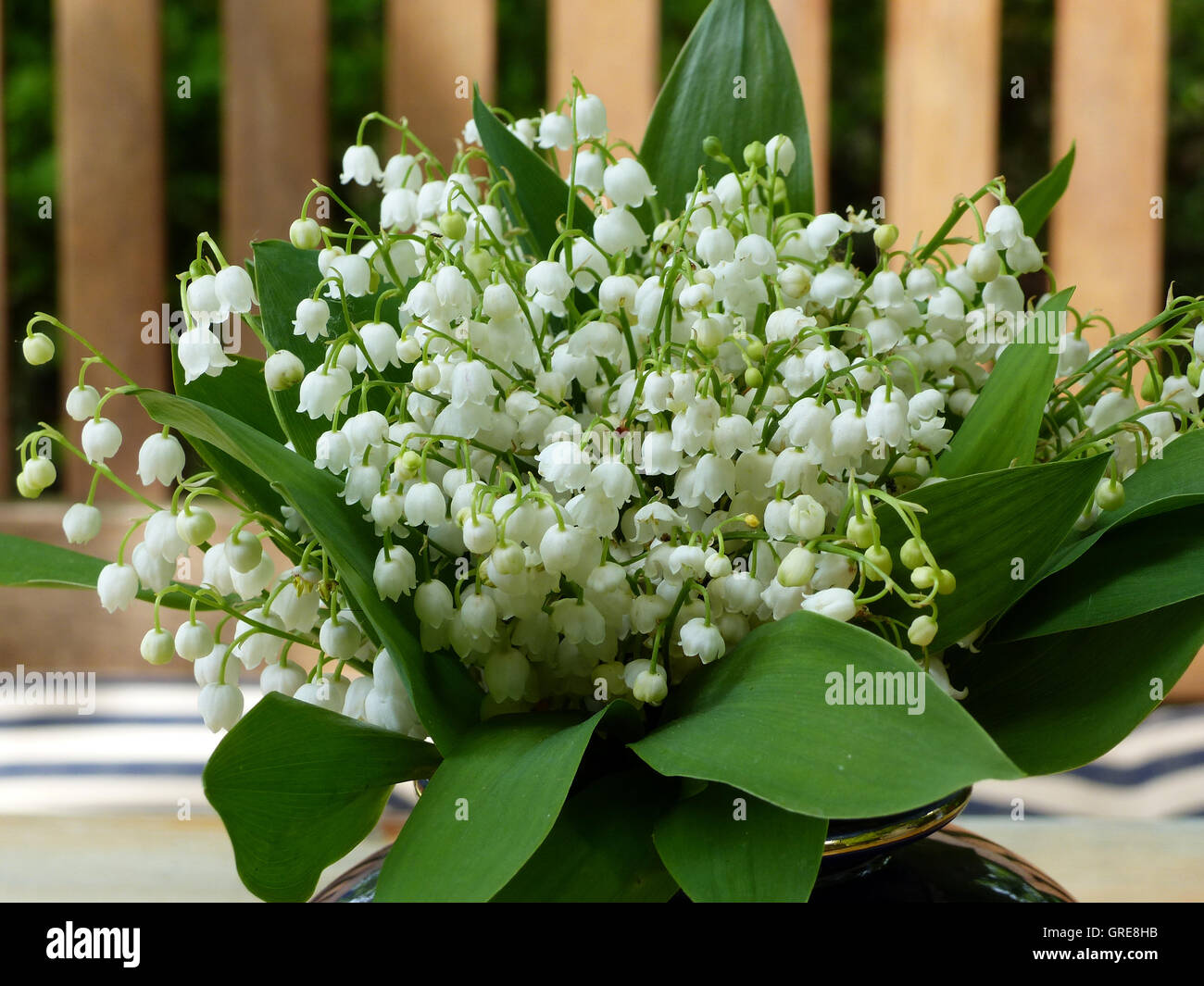 Bunch Of Lilies Of The Valley, Convallaria Majalis, Toxic Plant Stock ...