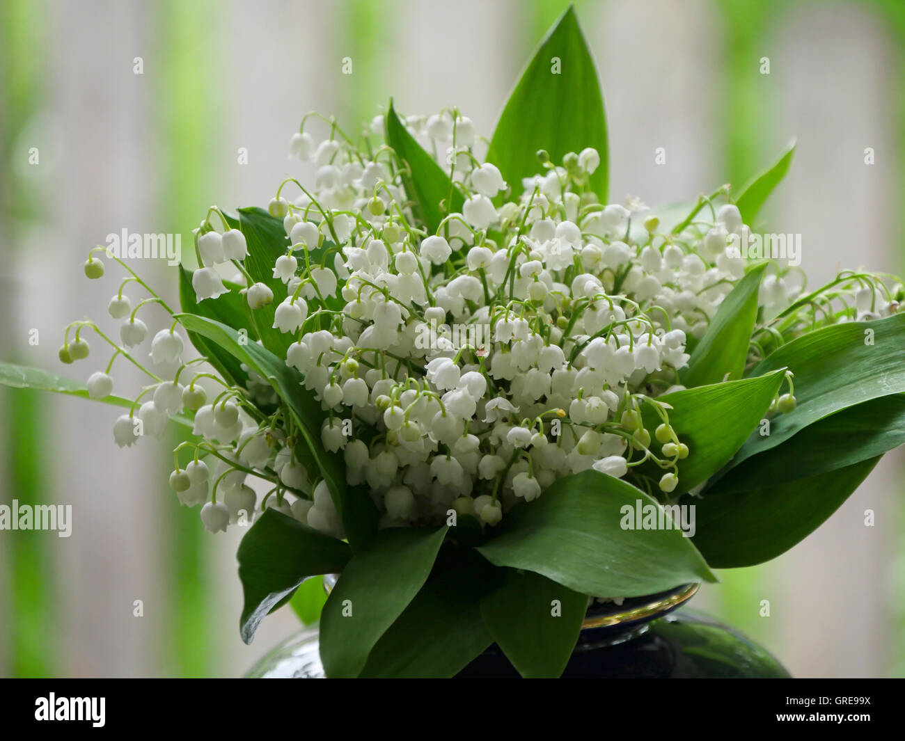 Bunch of lilies hi-res stock photography and images - Alamy