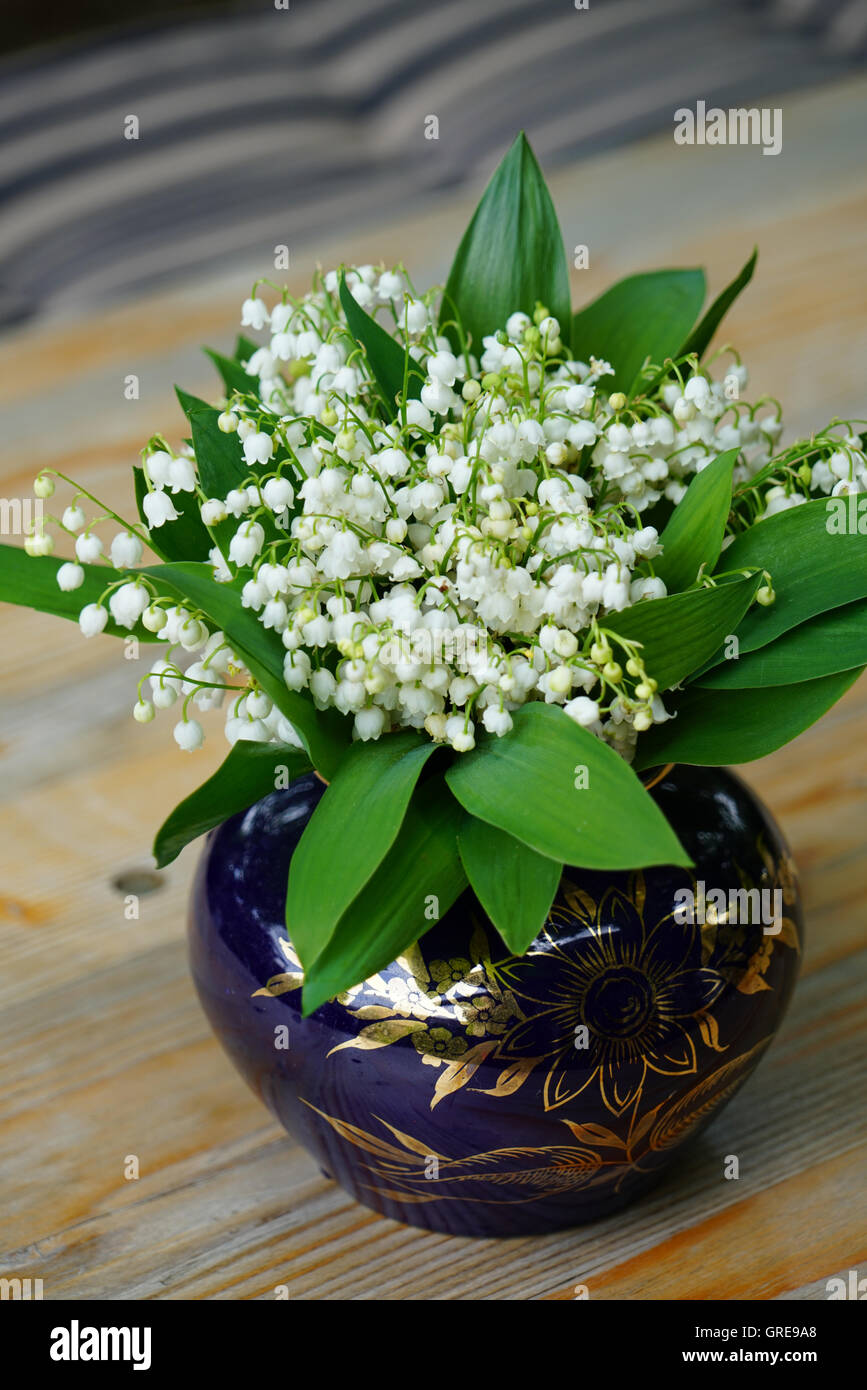 Bunch Of Lilies Of The Valley, Convallaria Majalis, Toxic Plant Stock ...