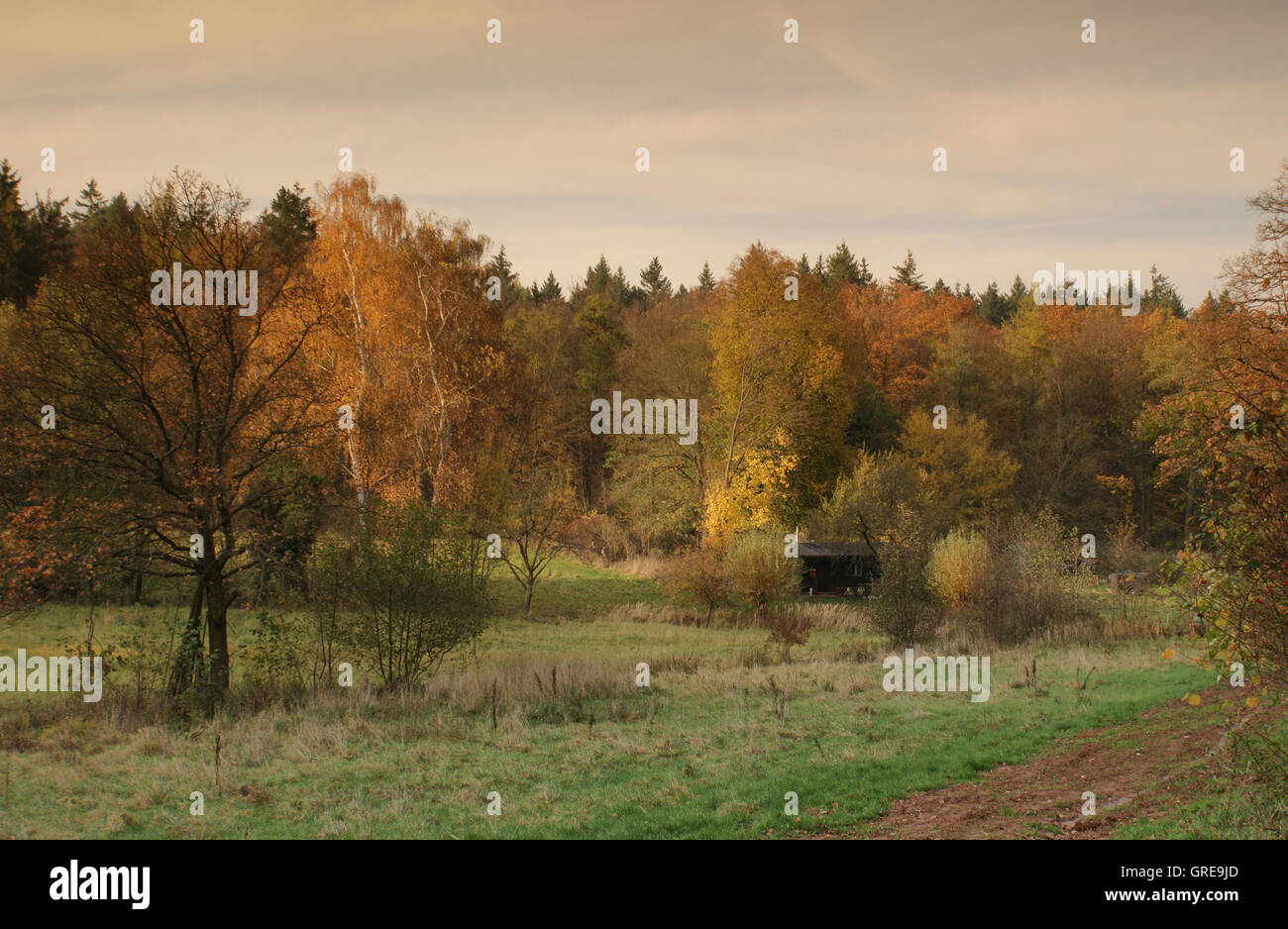 Palatine hut hi-res stock photography and images - Alamy