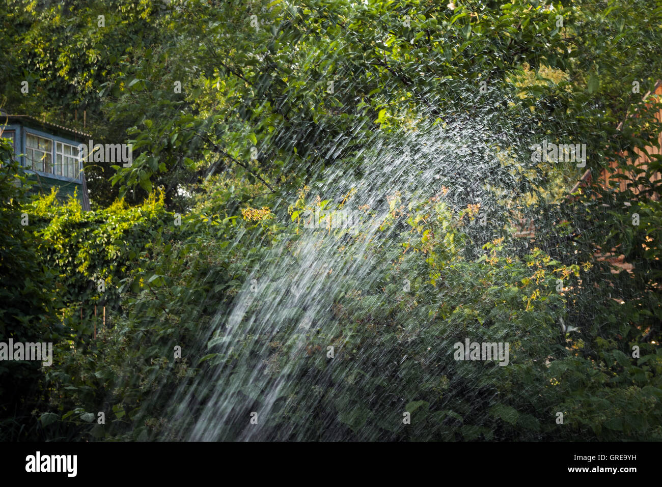 Tree injector hi-res stock photography and images - Alamy