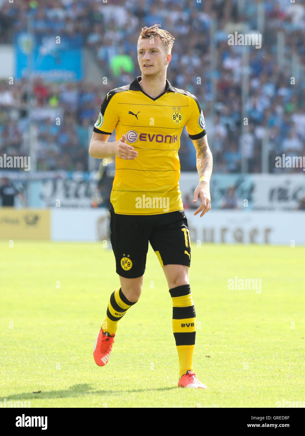 Marco Reus Borussia Dortmund Stock Photo - Alamy