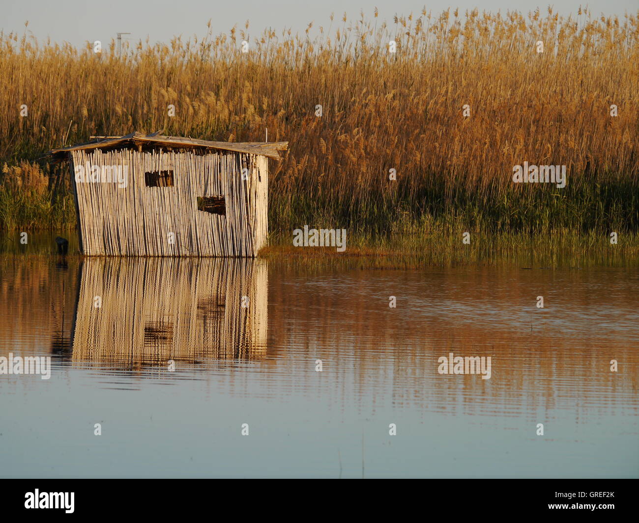 Bird watching hut hi-res stock photography and images - Alamy