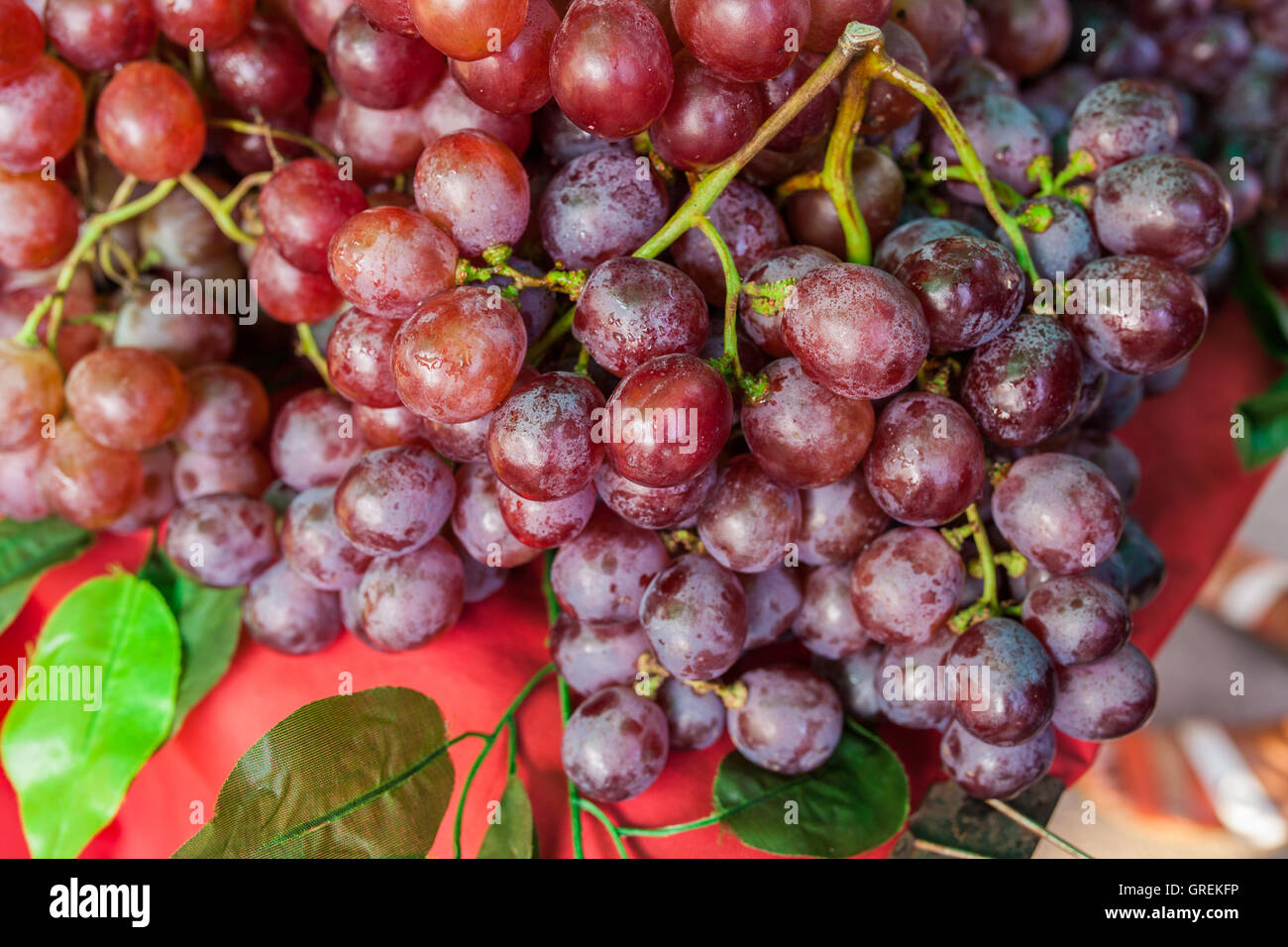 Red grape leaves hi-res stock photography and images - Alamy