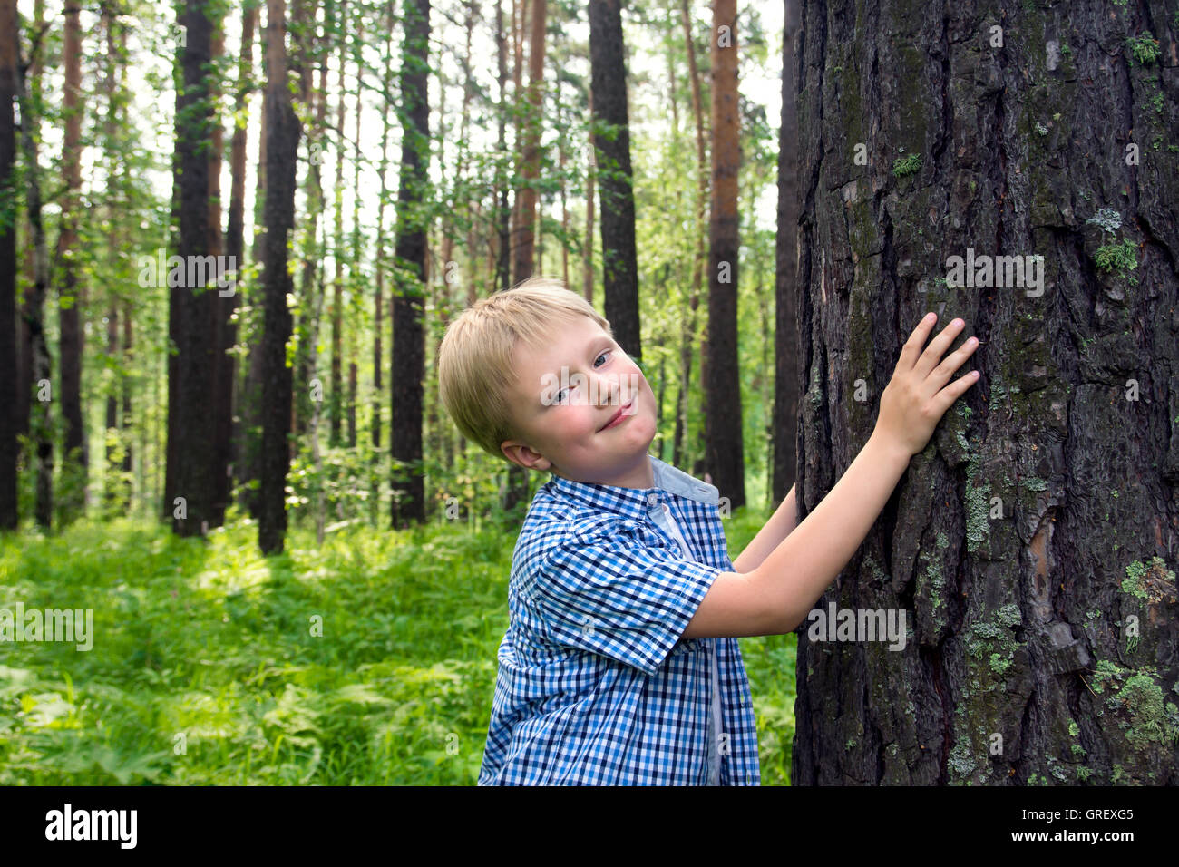 Child (boy, hands) hugging pine (tree), playing and having fun outdoor ...