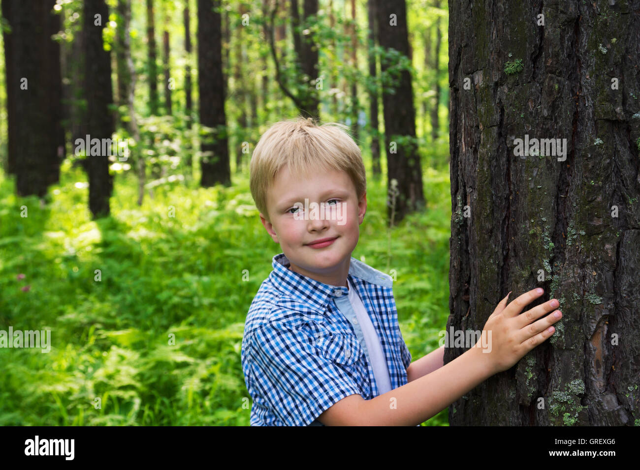 Child (boy, hands) hugging pine (tree), playing and having fun outdoor ...