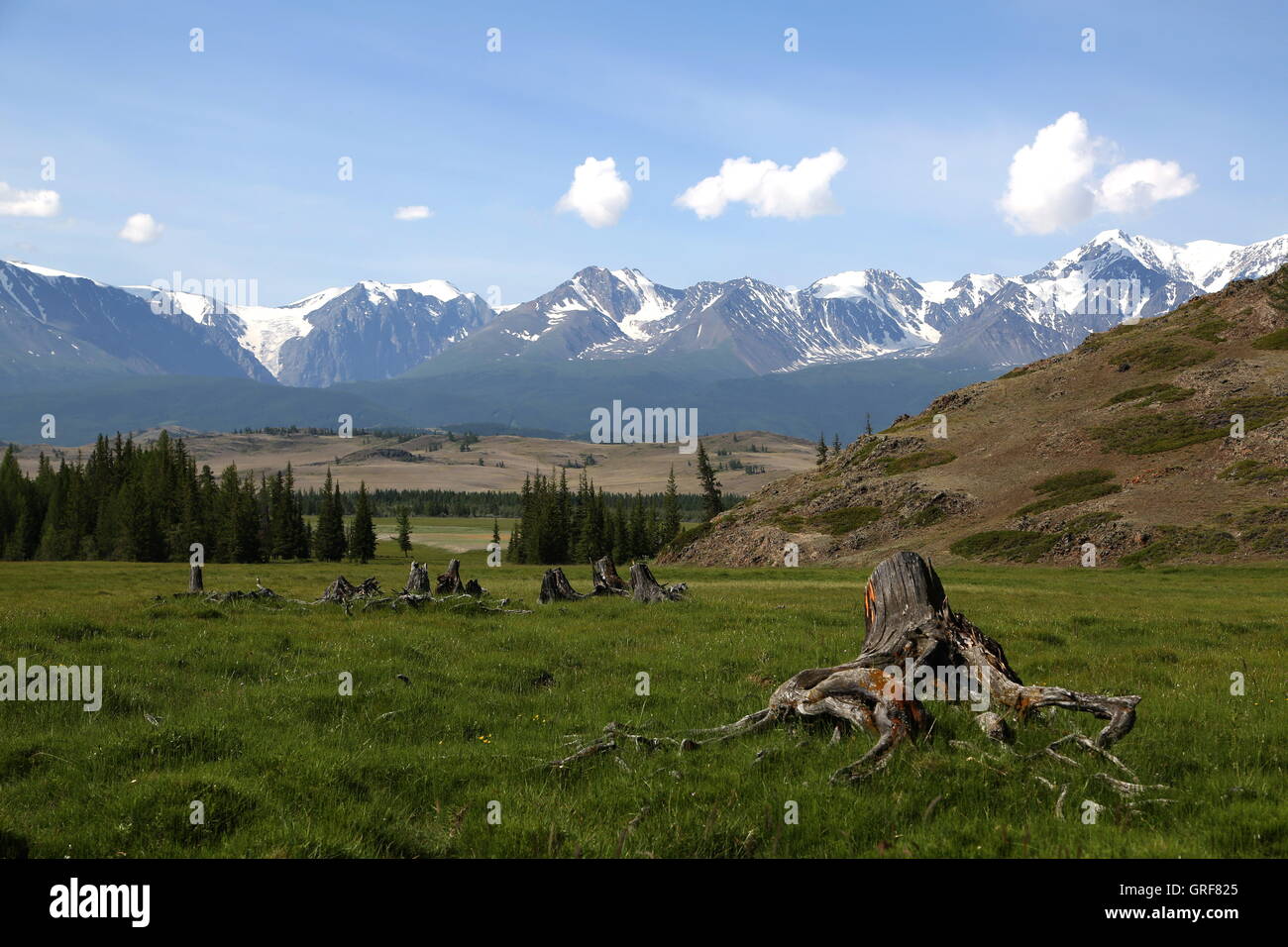 Altai region Russia mountain landscapes Stock Photo - Alamy