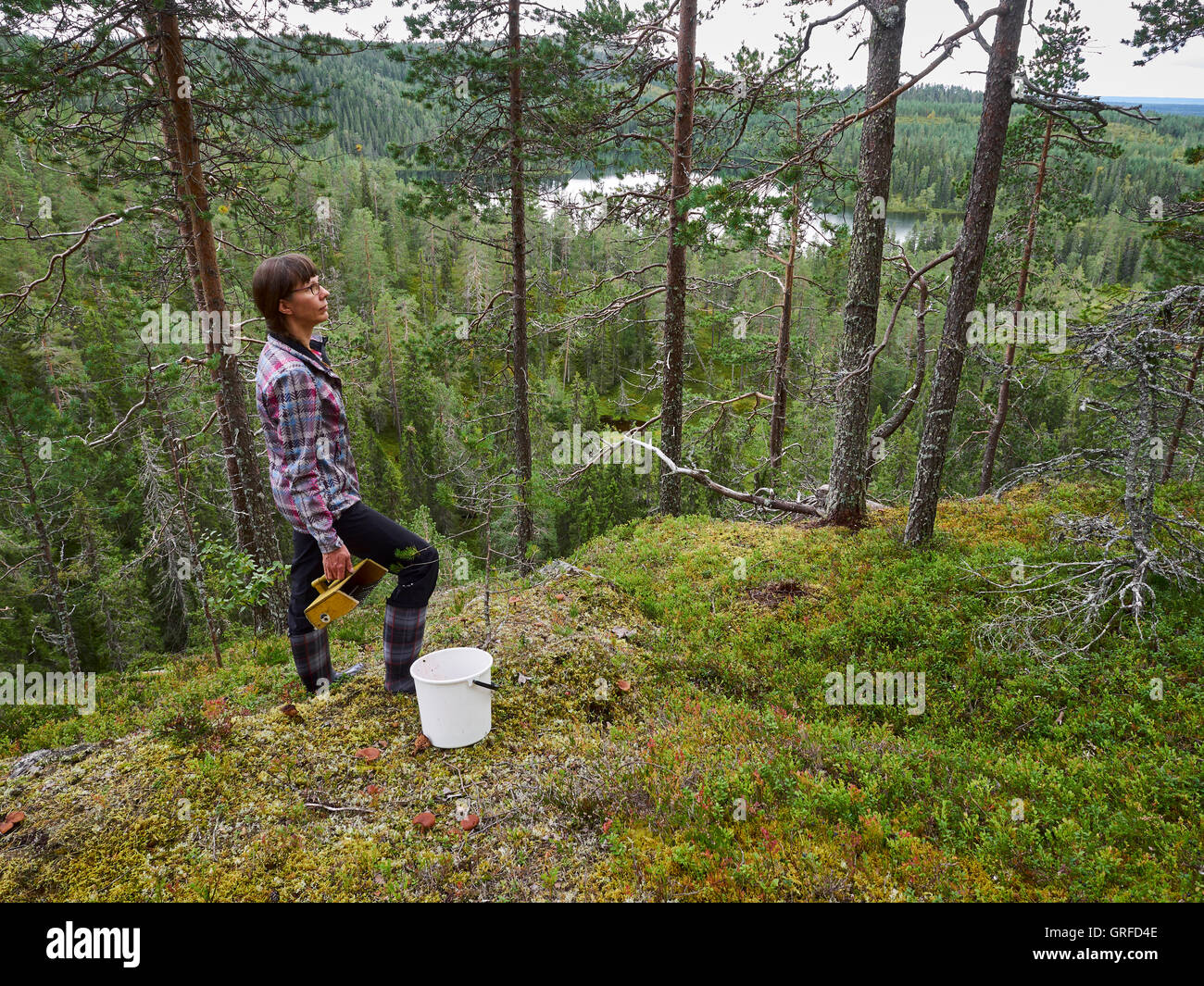 Berry picker hi-res stock photography and images - Alamy
