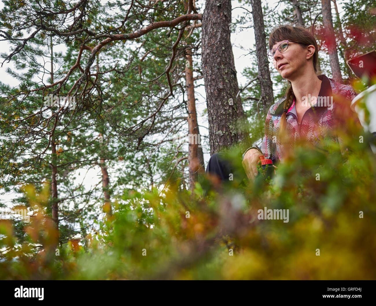 KUUSAMO, FINLAND - AUGUST 2016: Pyhänjyssäys Hill and berry picking ...