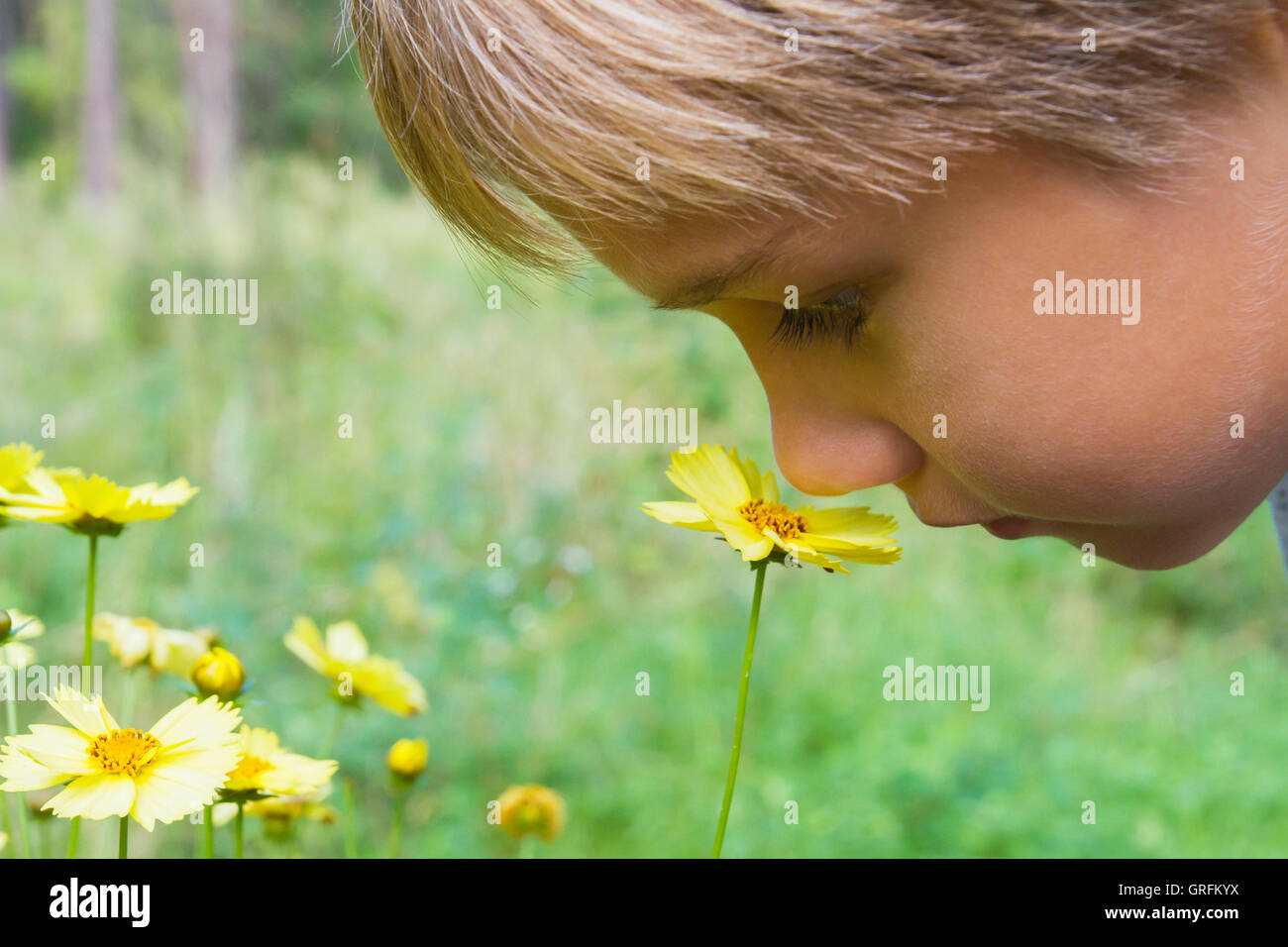 Adorable caucasian boy smelling yellow hi-res stock photography and ...