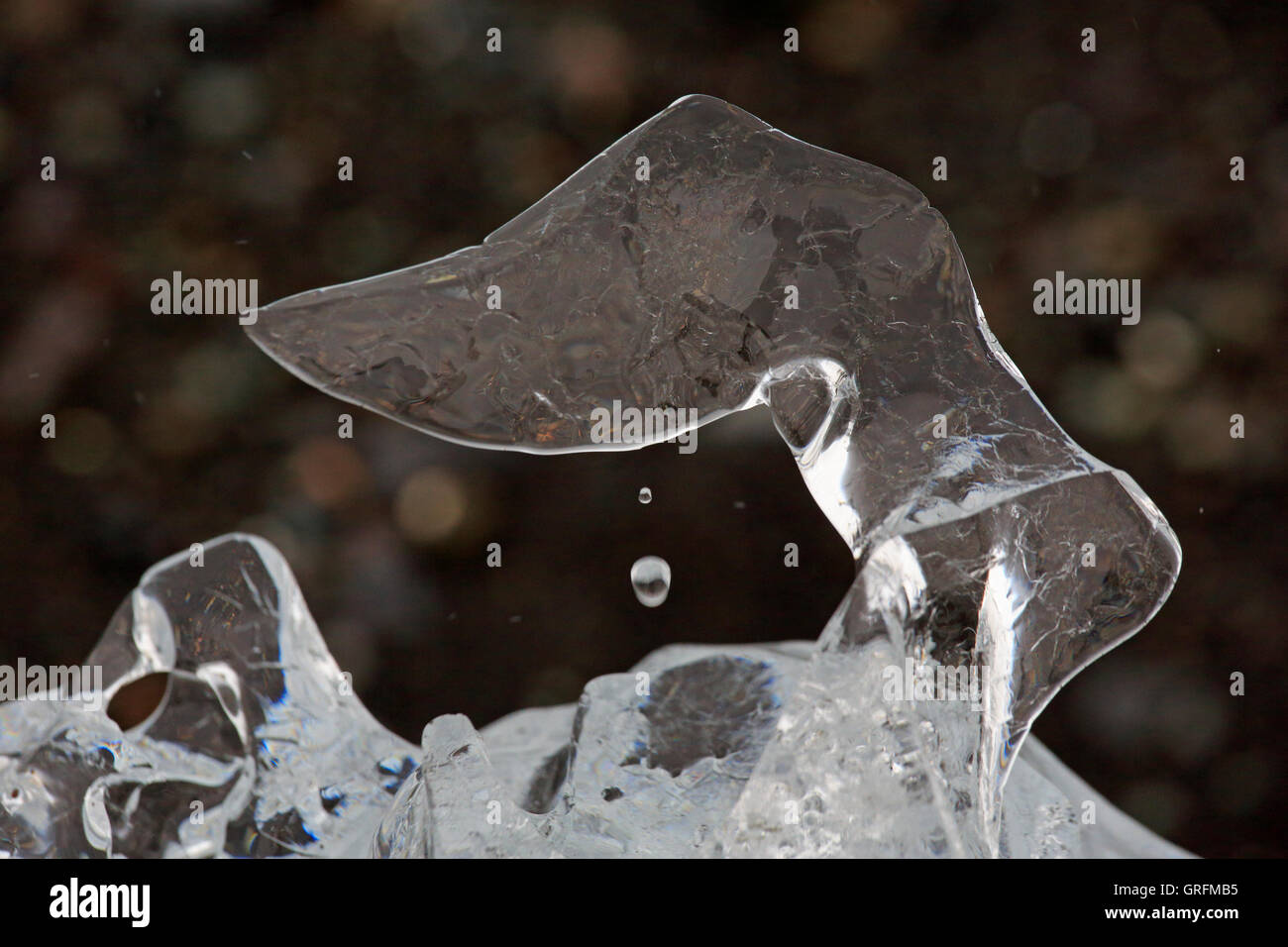 Water droplet falling of a piece of ice at the glacier lagoon Iceland ...