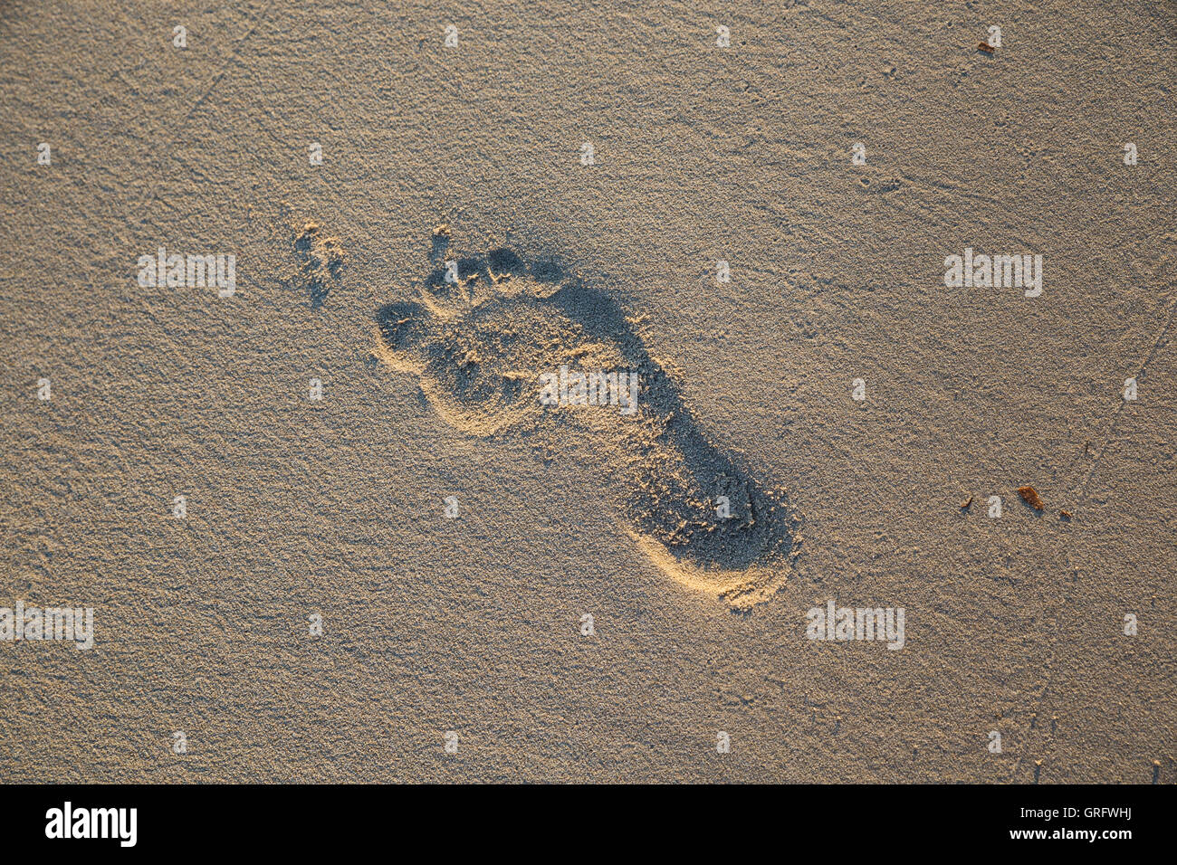 A single footprint imprinted in soft sand Stock Photo - Alamy