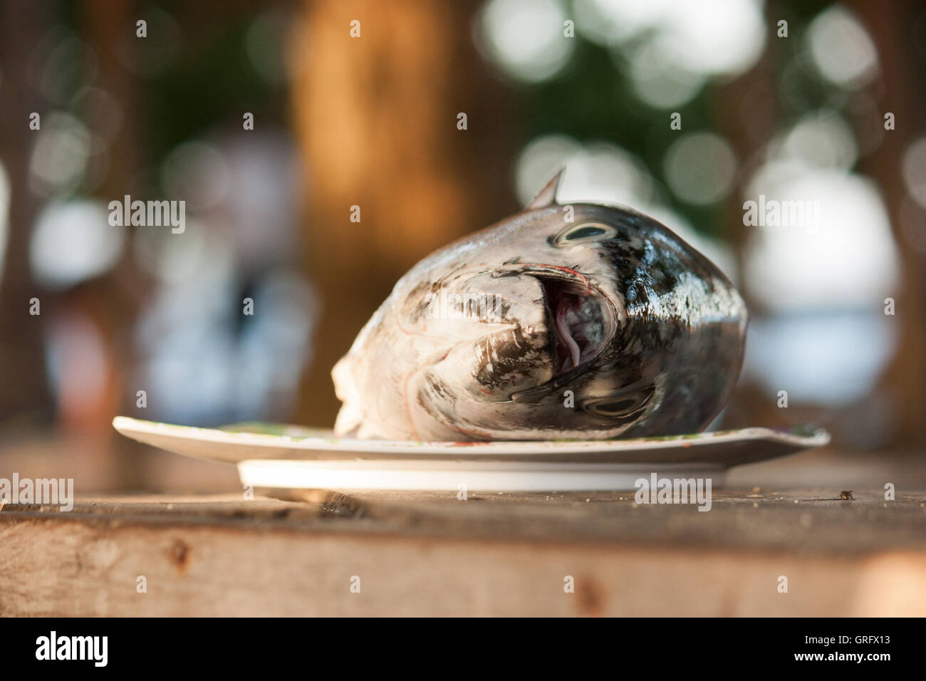 Fish plate on tropical hi-res stock photography and images - Alamy
