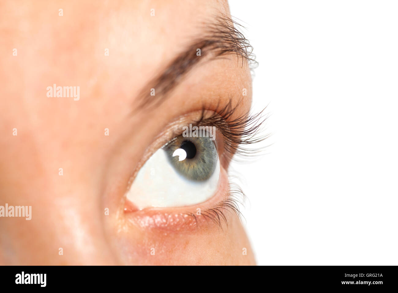 woman eye isolated on a white background Stock Photo - Alamy