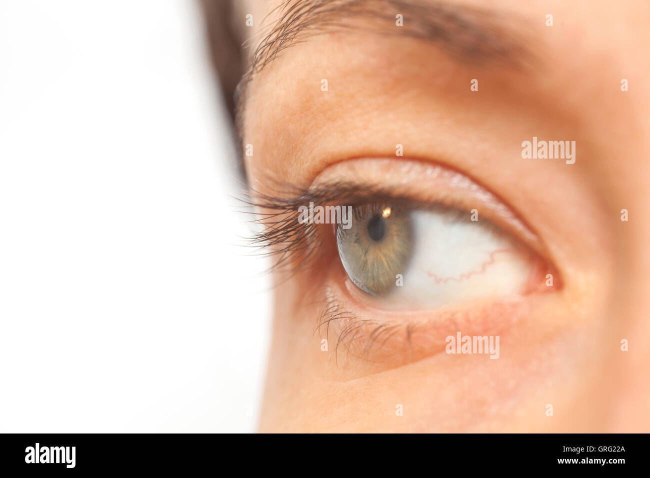 Woman eye on a white background Stock Photo - Alamy