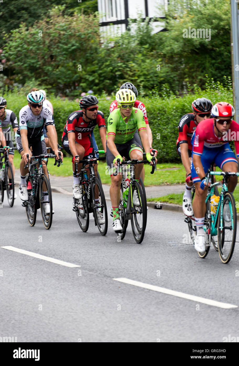 The Peloton in the Tour of Britain Cycle Race Passing Through Alsager ...