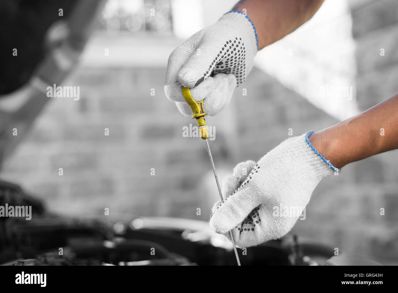 Auto mechanic checking the oil level in car engine Stock Photo - Alamy