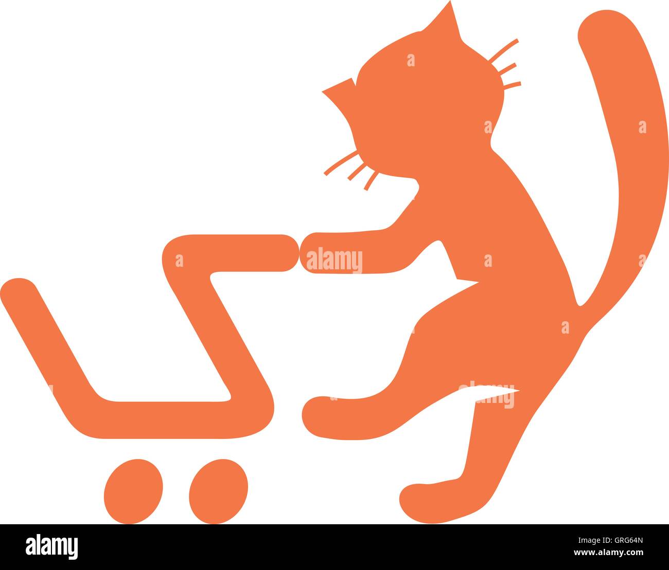 Pet store kitten hi-res stock photography and images - Alamy