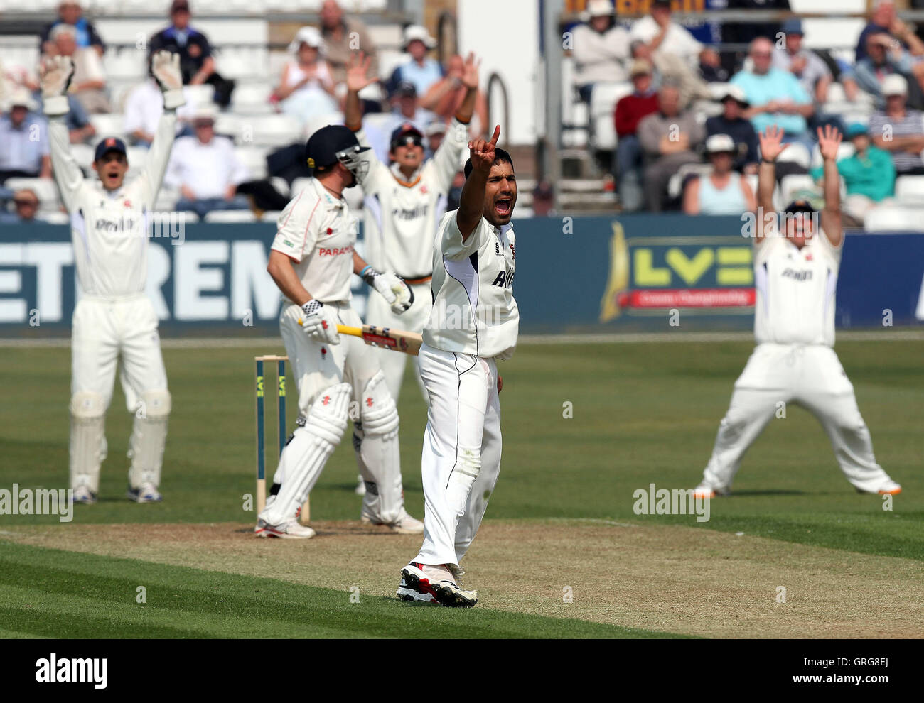 Mark wallace of glamorgan county cricket club hi-res stock photography ...